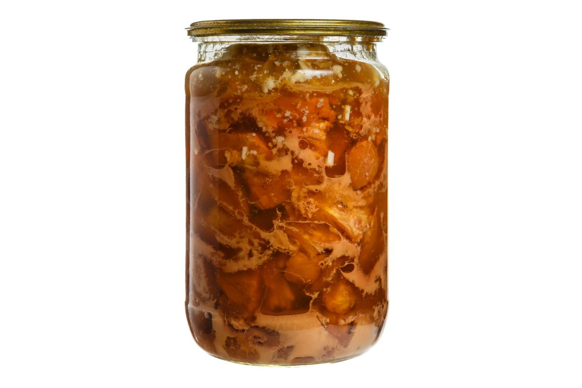 The Best Method for Canning Turkey Meat