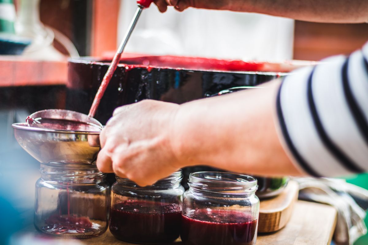 Fresh Homemade Blueberry Jam Canning Recipe