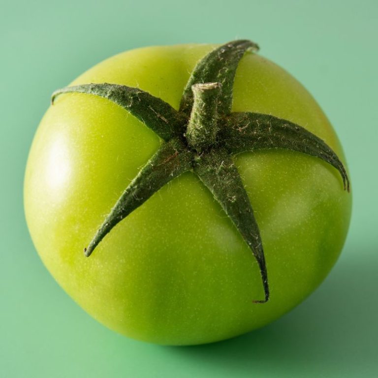 Guide to Canning Green Tomatoes for Frying