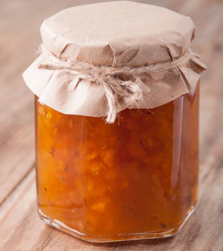 Mango Salsa Recipe Canning Guide and Tips