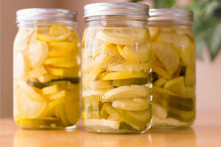 Step-by-Step Guide for Pickling and Canning Squash